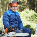 TIMBER! A Guide to the Harvesting of Trees