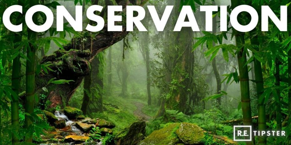 27 Land Types and Terminology Every Real Estate Investor Should Know ...