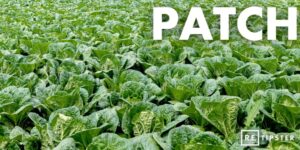 27 Land Types and Terminology Every Real Estate Investor Should Know ...