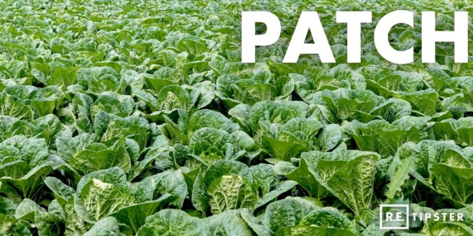 27 Land Types and Terminology Every Real Estate Investor Should Know ...